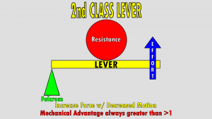 The 3 Classes of Levers