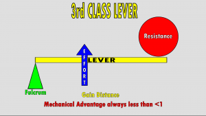 The 3 Classes of Levers